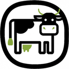 Home - Funky Cow Cafe
